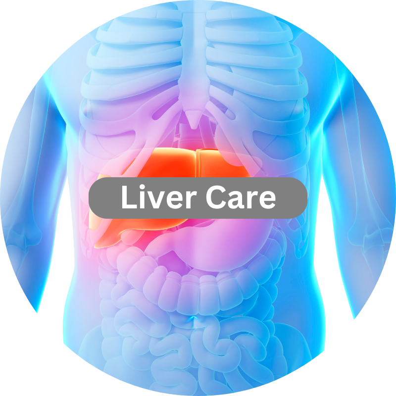 Liver Care – Nishtha Exports