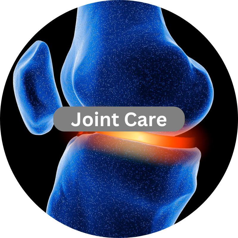 Joint Care - Nishtha Exports