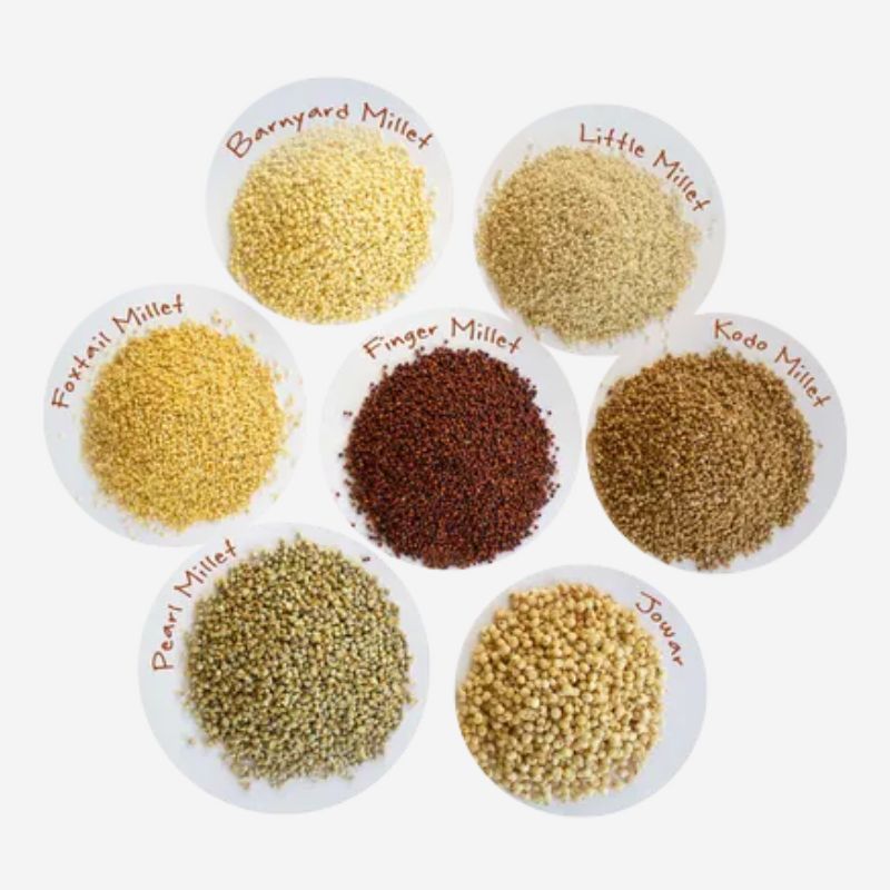 Millets - Nishtha Exports