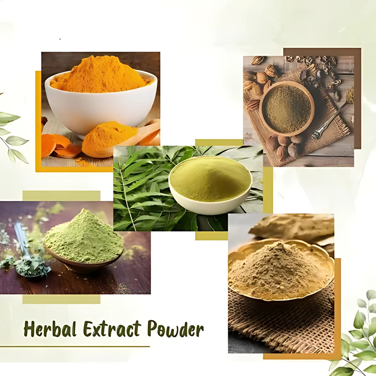 Herbal Extract - Nishtha Exports