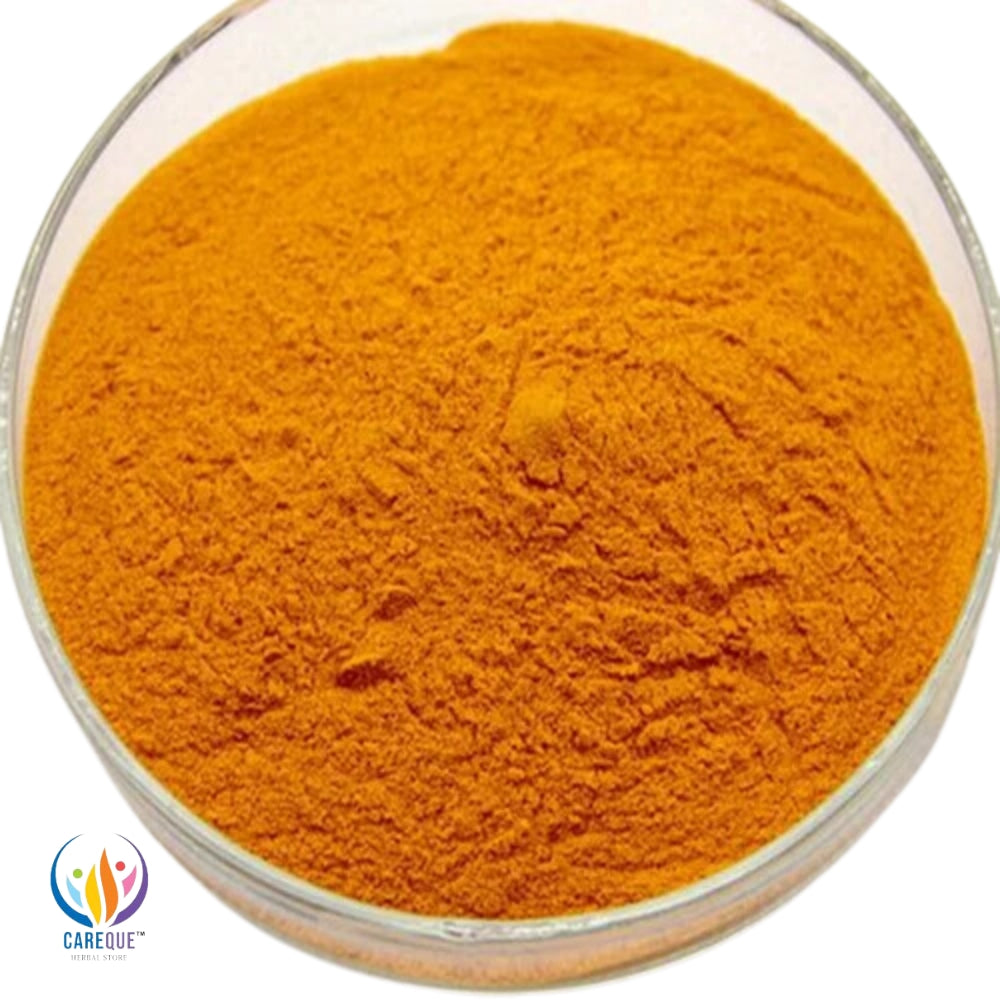 Nano Curcumin 20% Extract Powder: Enhanced Bioavailability for Maximum ...